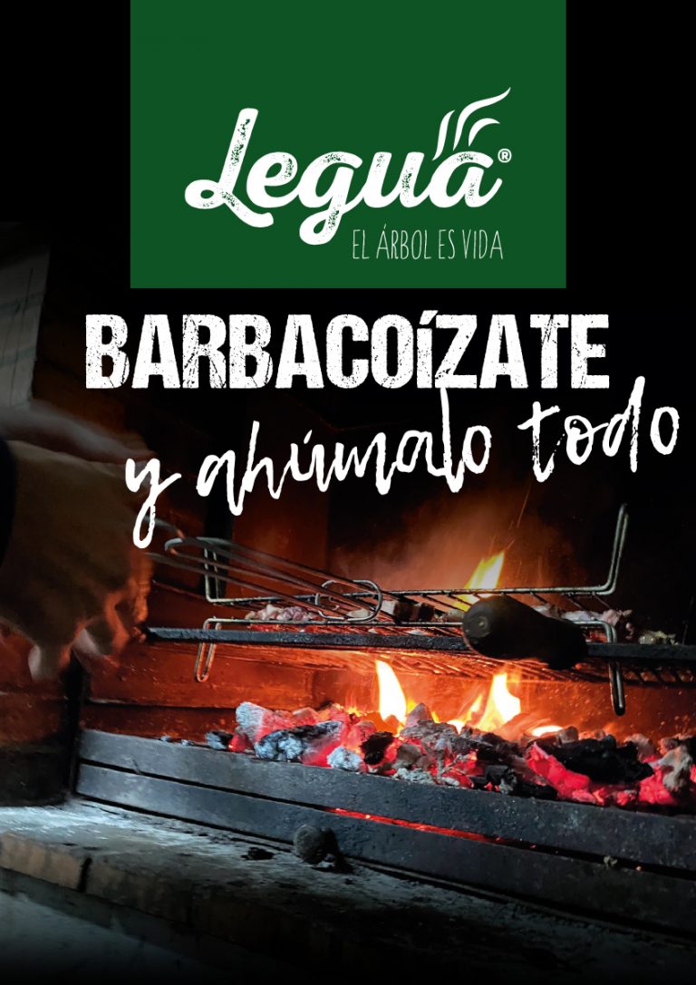 Legua, especialistas en leña para calefacción y barbacoas, llega a ...